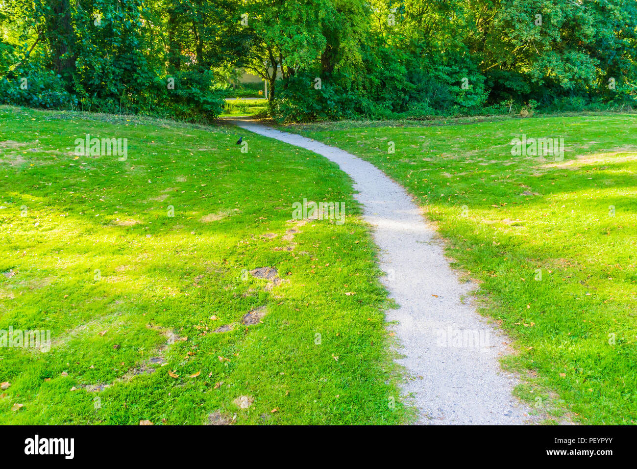 walking path with grass and trees park landscape Stock Photo - Alamy