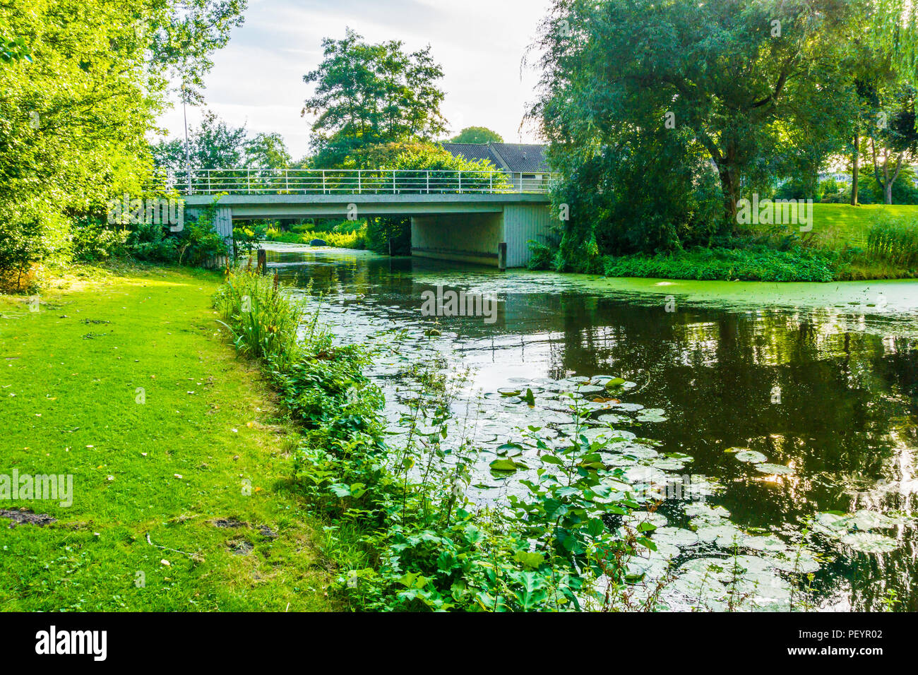 Water landscape with a river, bridge and grass lawn Stock Photo - Alamy