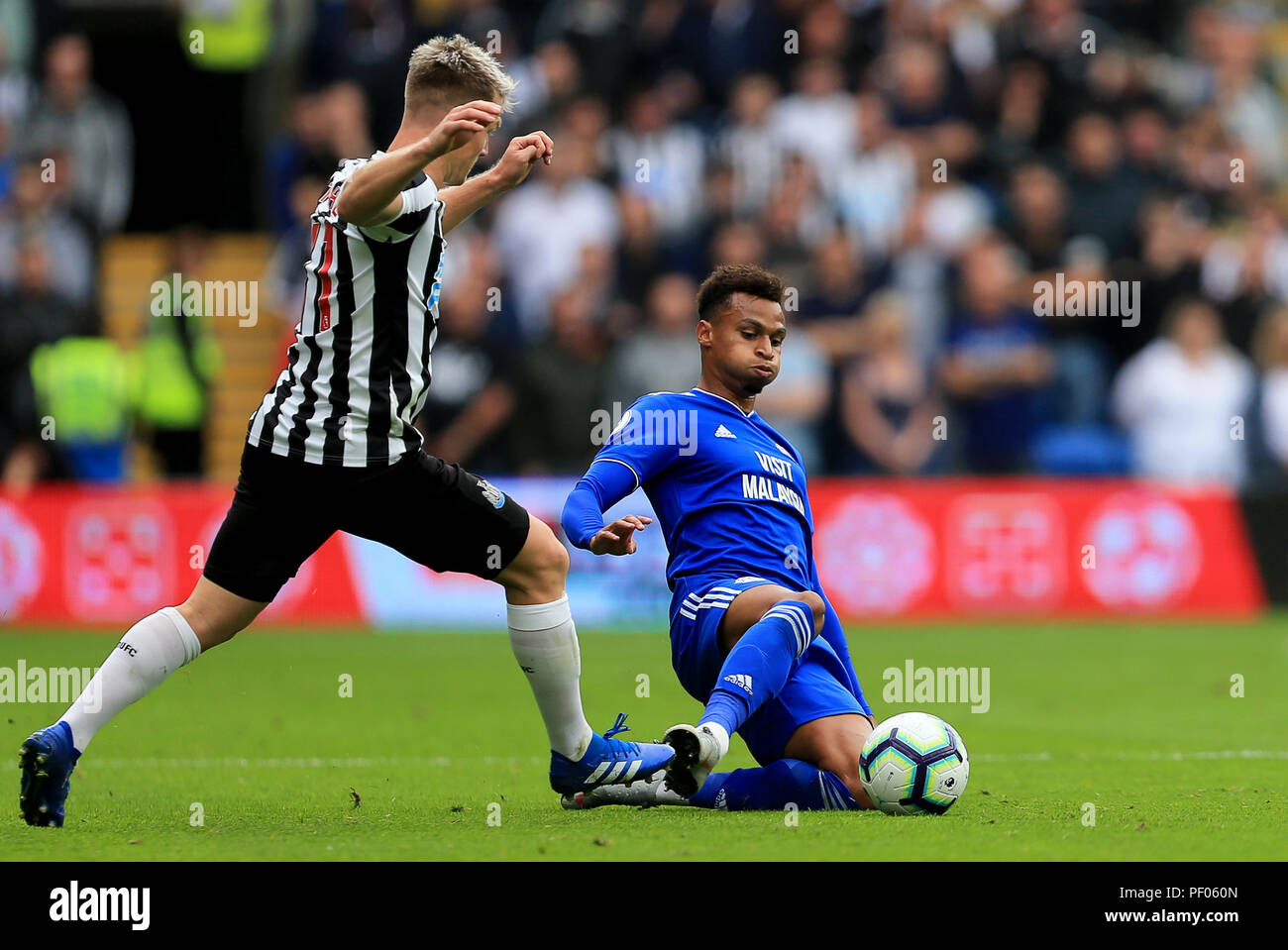 Josh murphy of cardiff city hi-res stock photography and images - Alamy