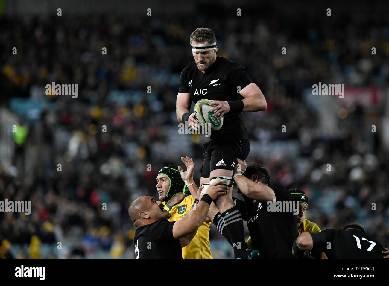 Kieran read new zealand hi-res stock photography and images - Alamy