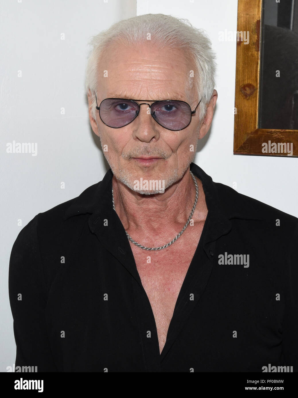 Hollywood, California, USA. 17th Aug, 2018. MICHAEL DES BARRES attends ...