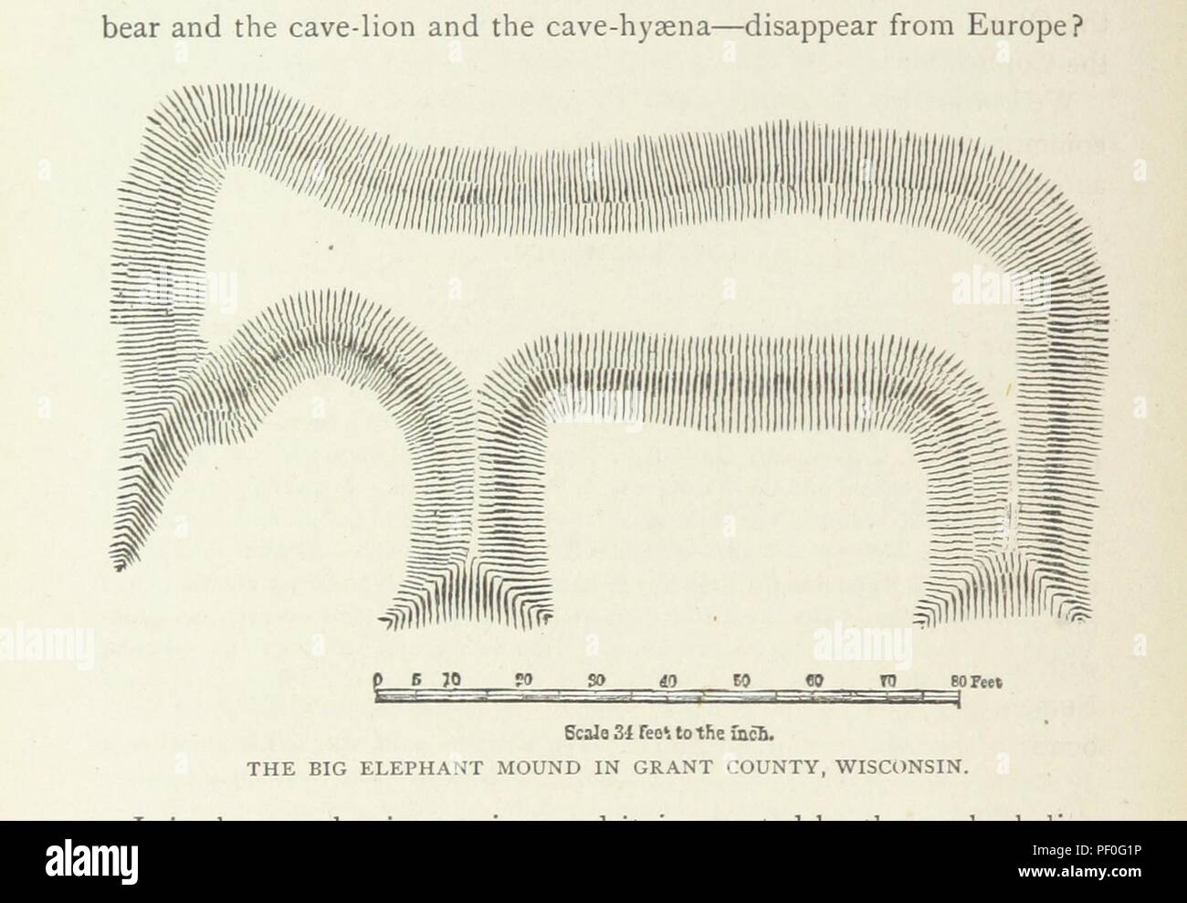 Image from page 312 of 'The Recent Origin of Man, as illustrated by ...