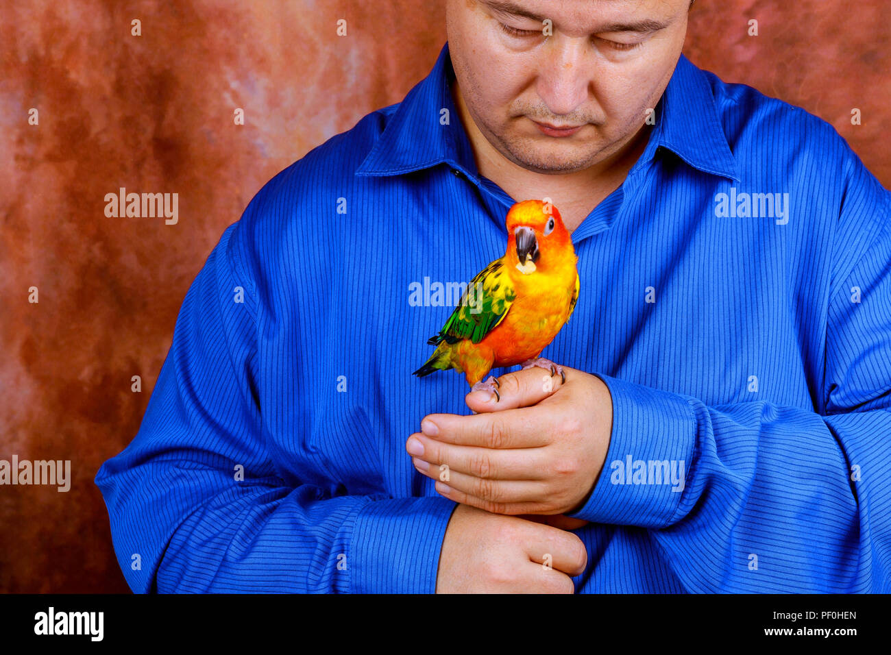 Tree man with red birds hi-res stock photography and images - Alamy