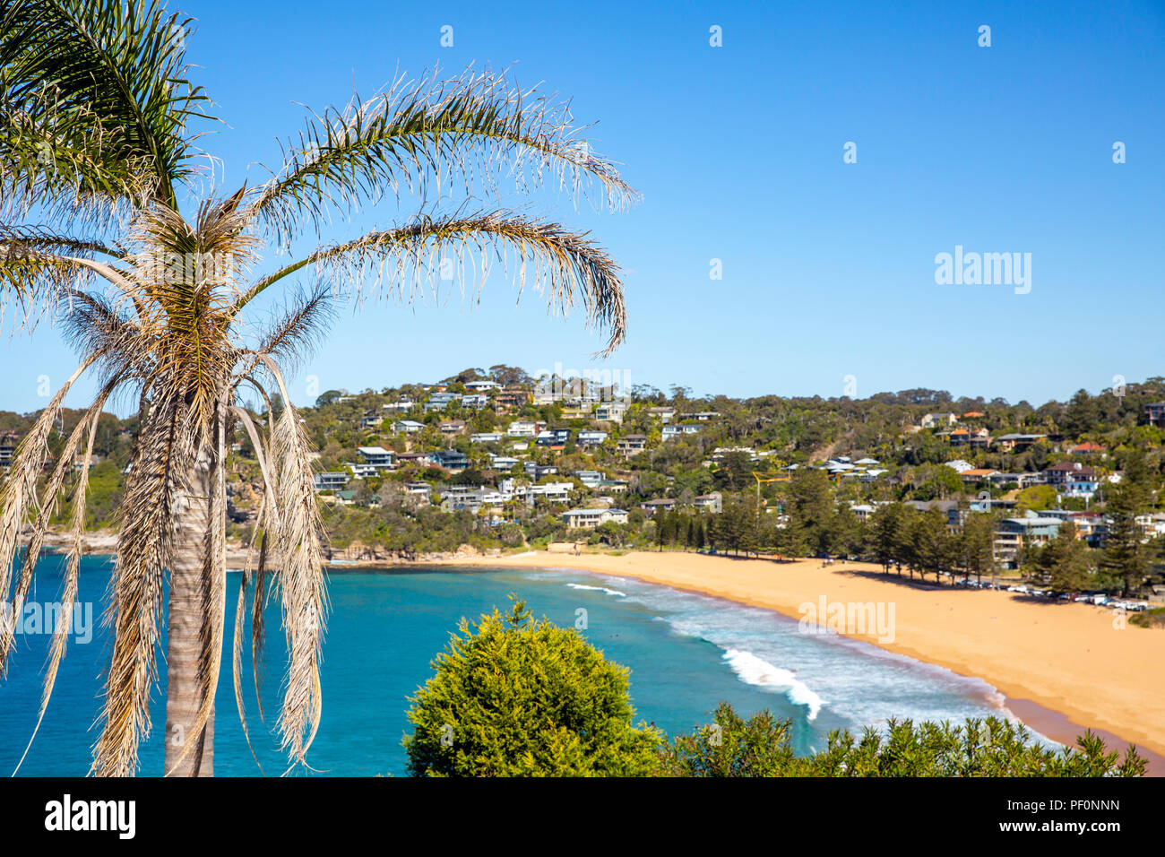 Whale Beach, suburb of Sydney, and its beach and coastline,Sydney ...