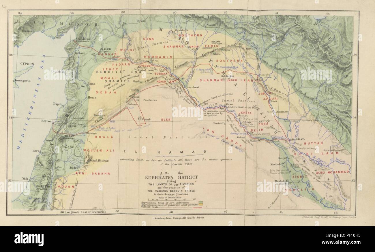 Image from page 389 of 'Bedouin Tribes of the Euphrates ... Edited ...