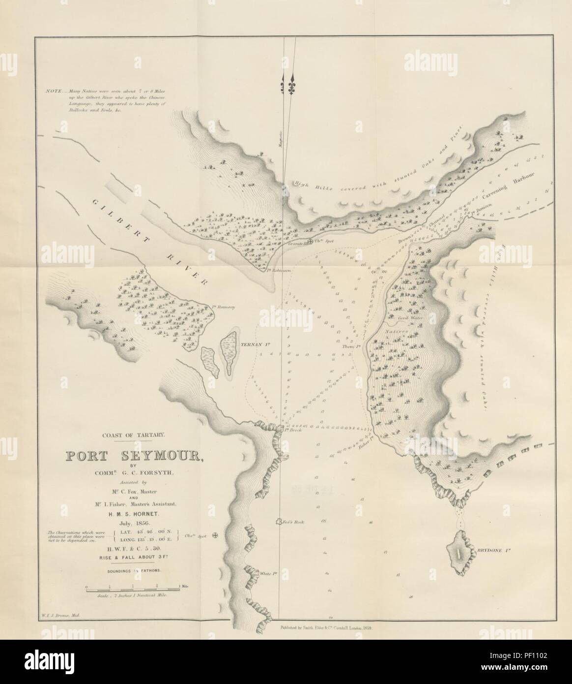 Barracouta hi-res stock photography and images - Alamy