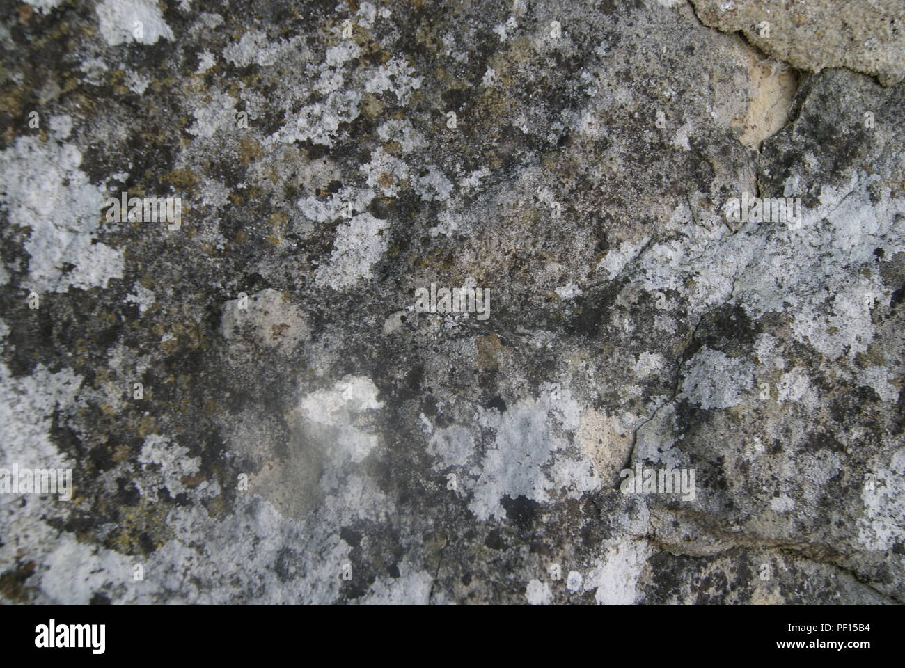 TEXTURE MATERIAL Stock Photo - Alamy