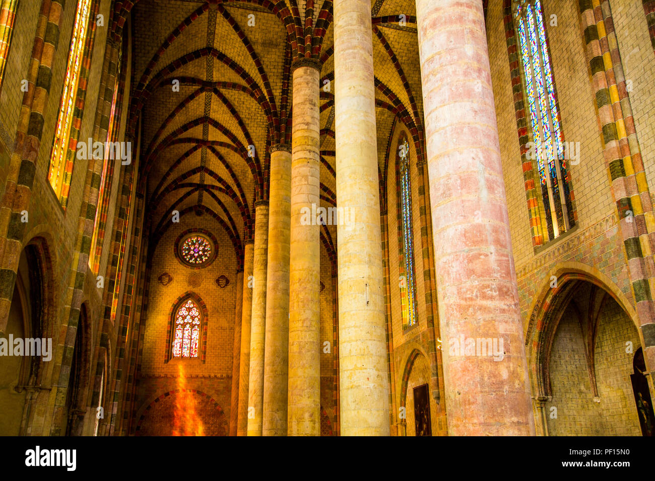 Palm tree of the jacobins hi-res stock photography and images - Alamy