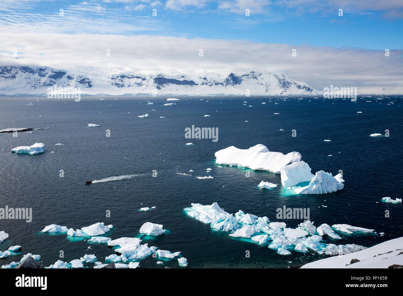 icecaps in the Antarctica with iceberg in the ocean swimming around and ...