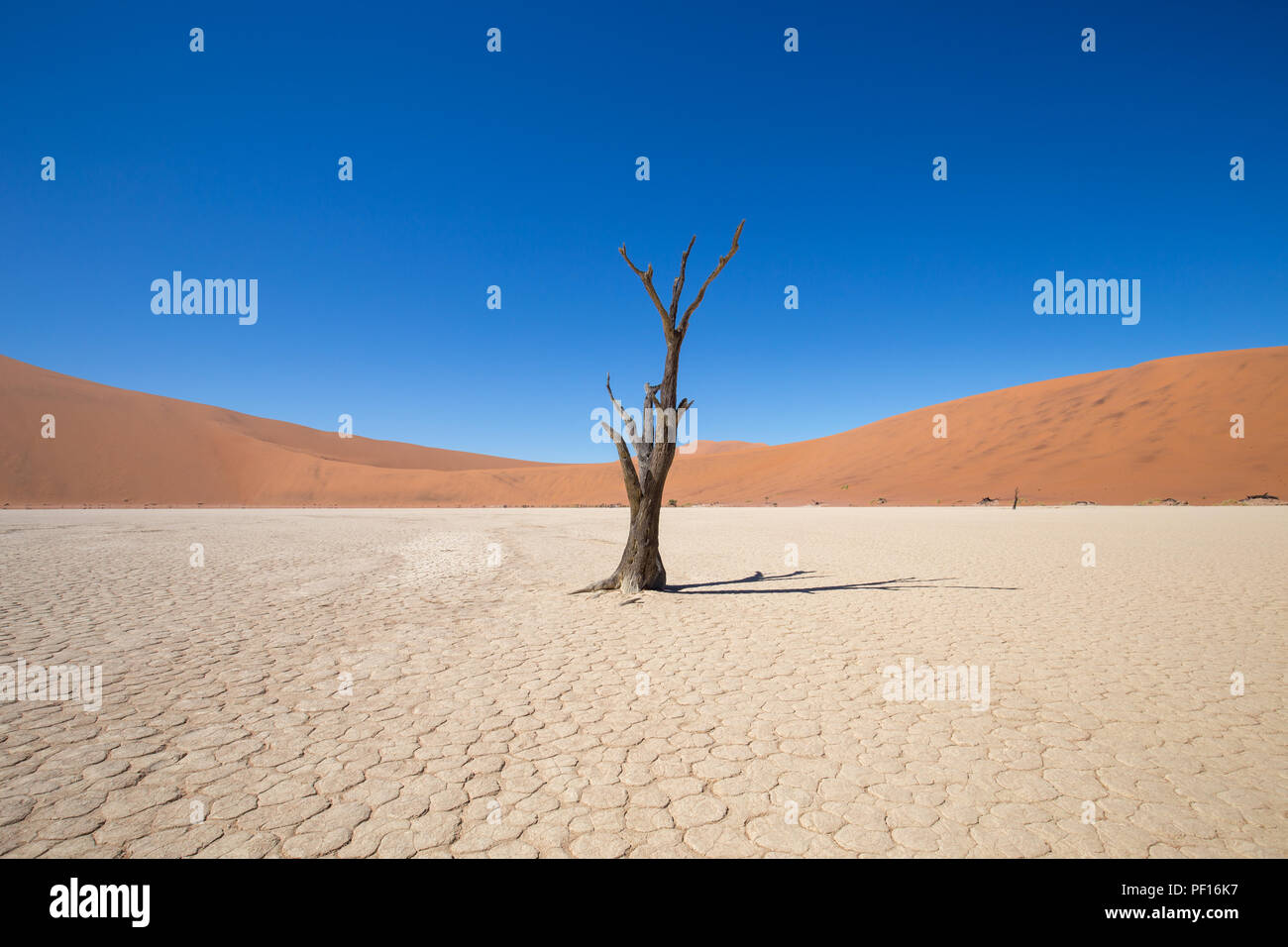 the desert of africa in the sunset with no water and very dry Stock ...