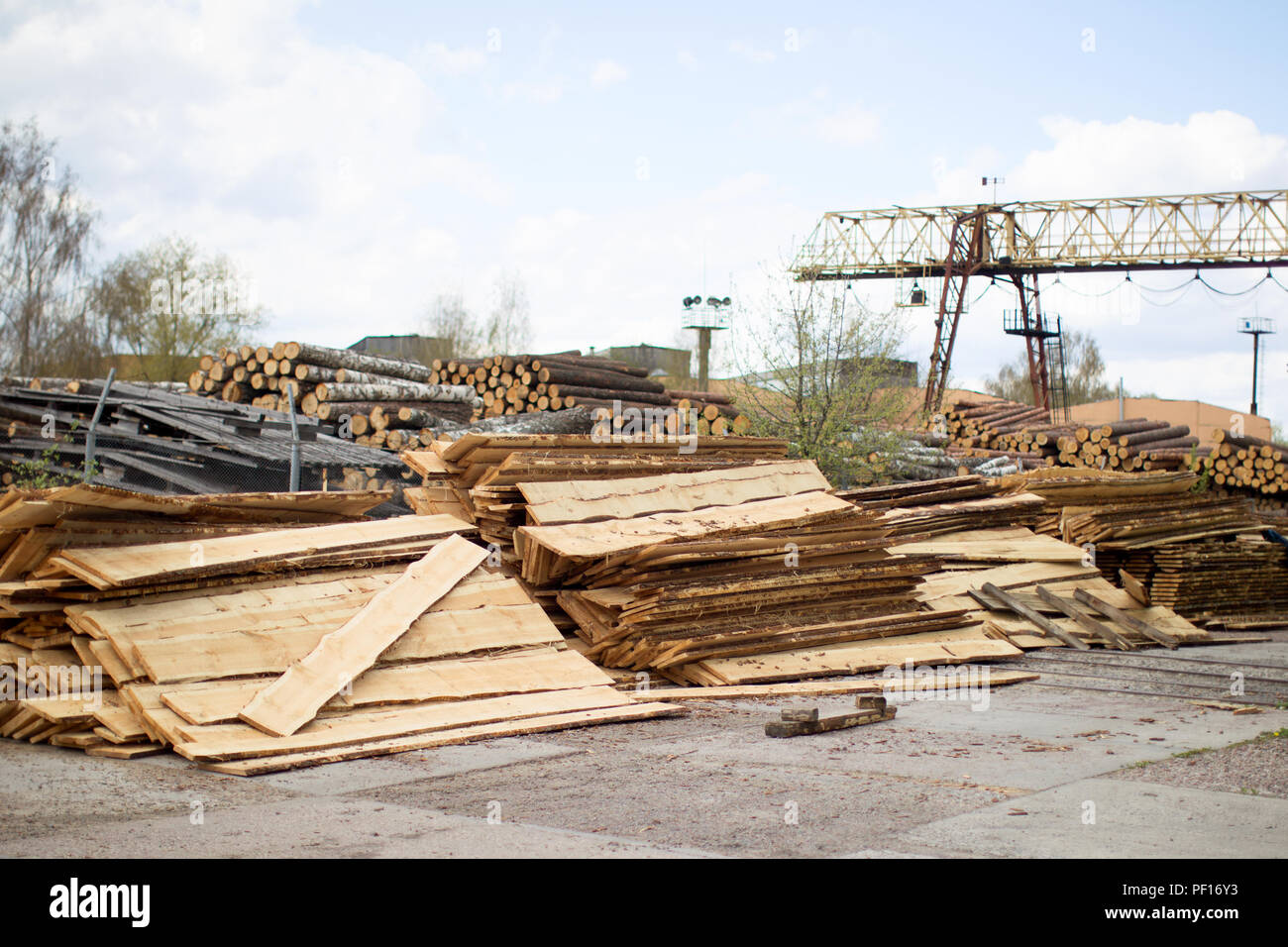 Woodworking factory.Woodworking factory. Warehouse of boards and logs ...