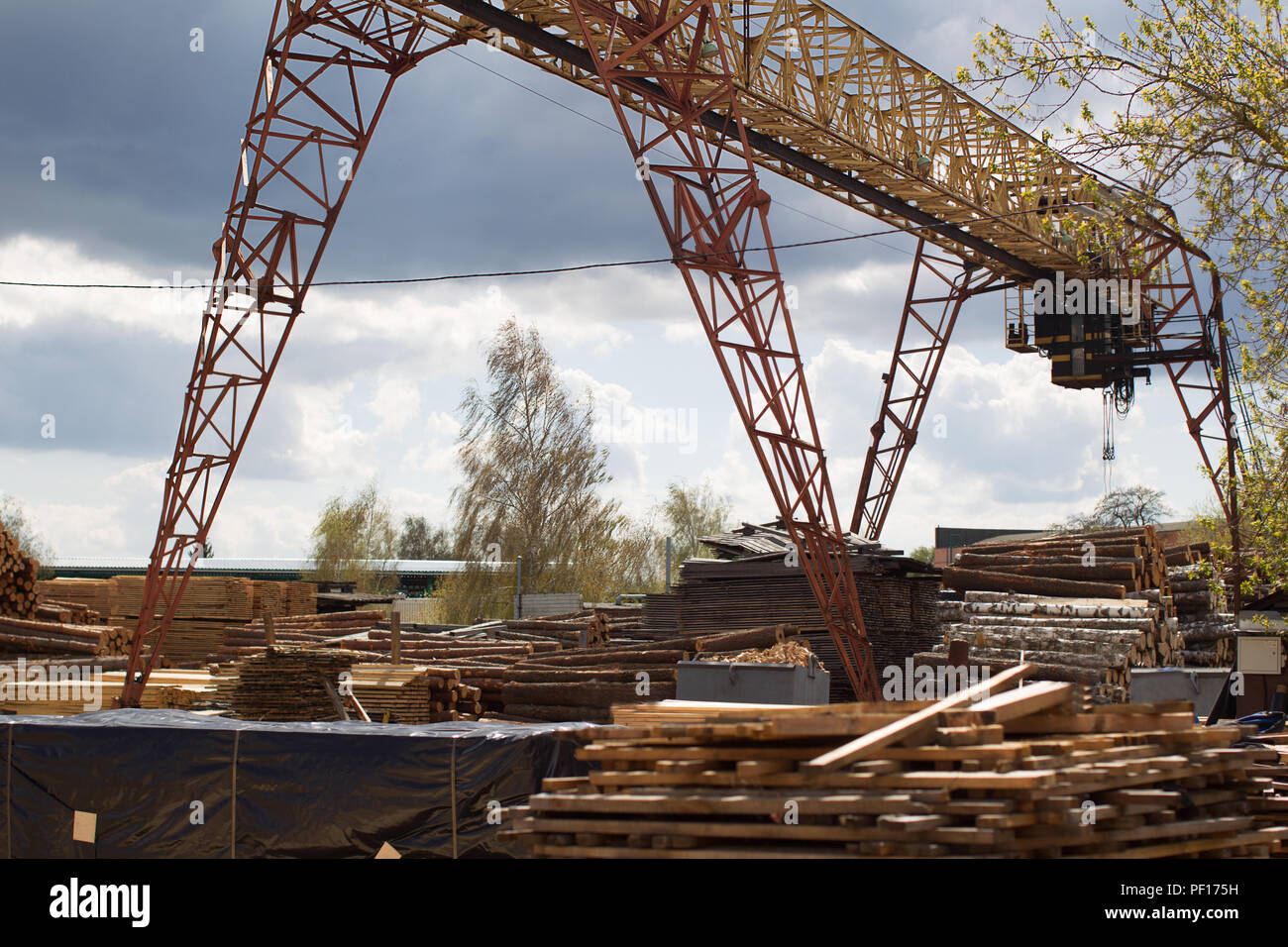 Woodworking plant. Wood processing industry Stock Photo - Alamy