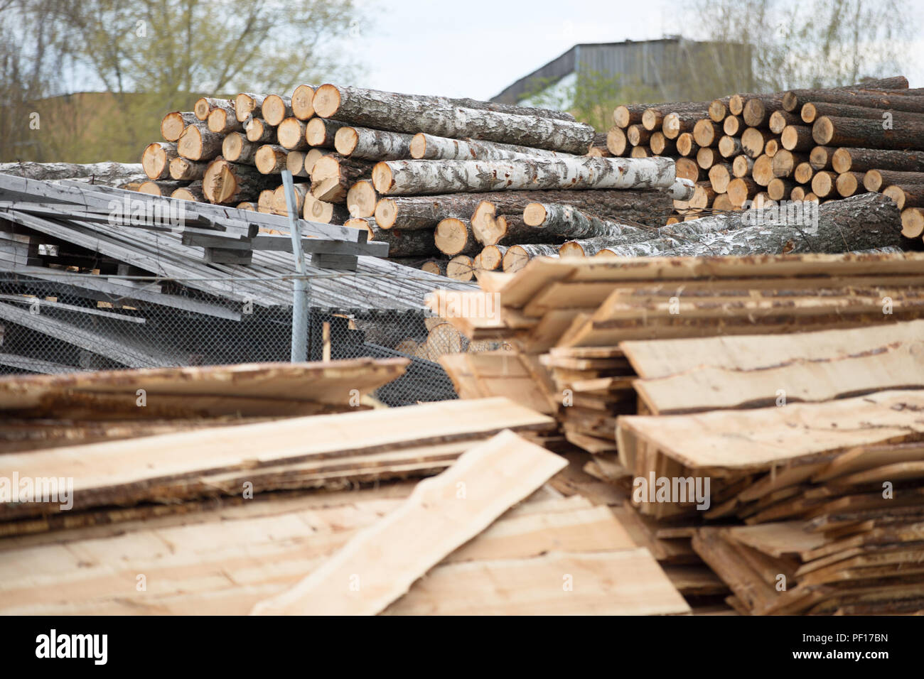Woodworking Factorywoodworking Factory Logs And Boards Are Piled Up In A Heapwood In
