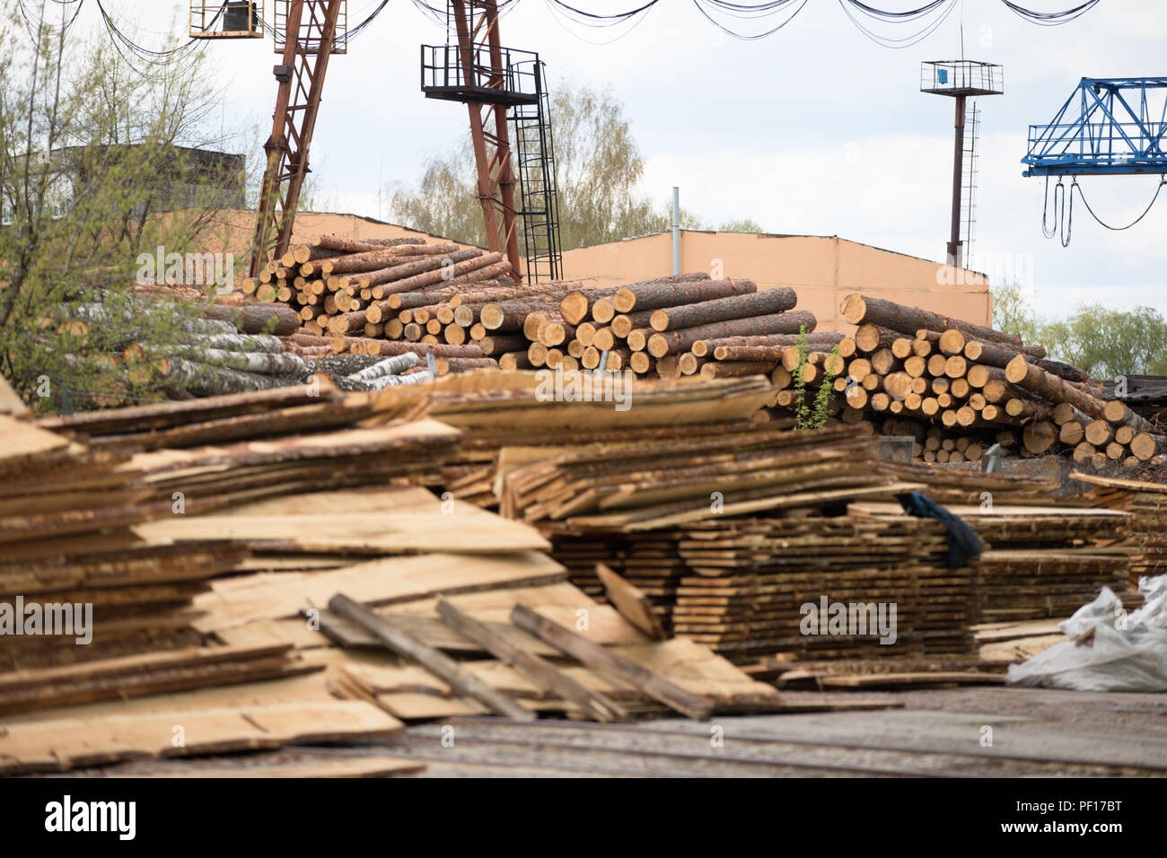 Woodworking factory.Logs of trees and boards on the furniture factory ...