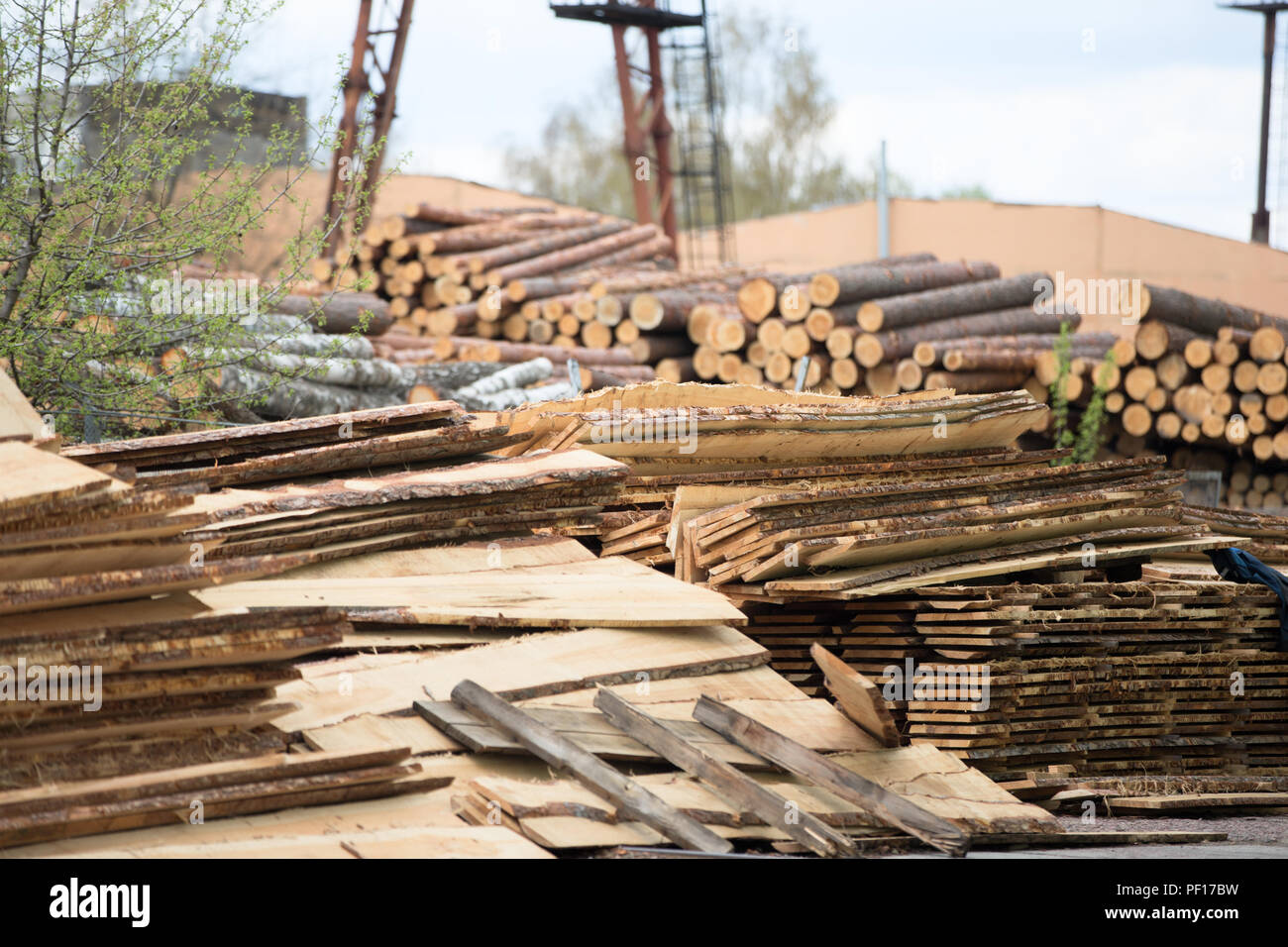 Woodworking factory.Wood in production Stock Photo - Alamy