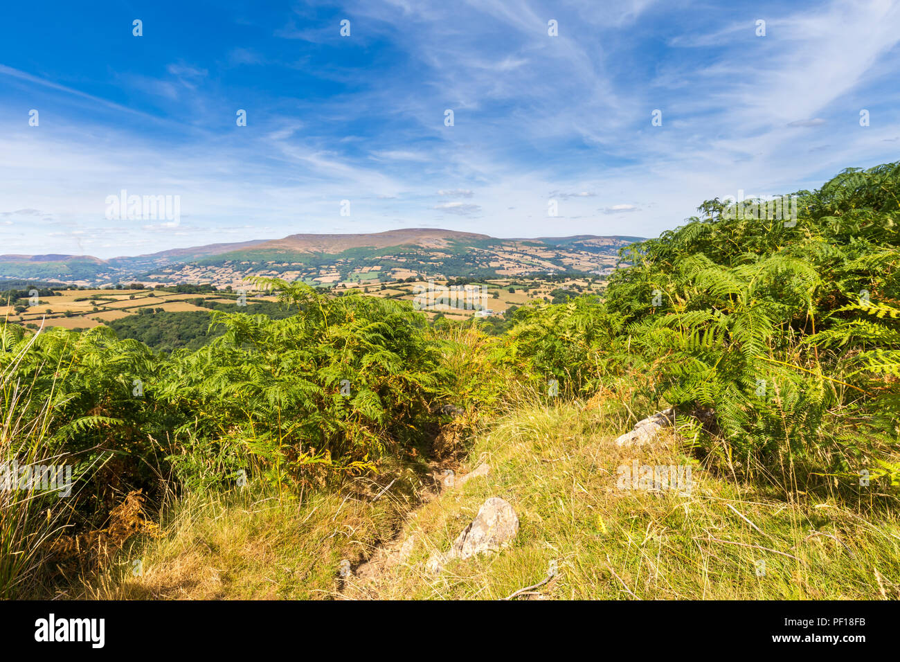 Web beacon background hi-res stock photography and images - Alamy