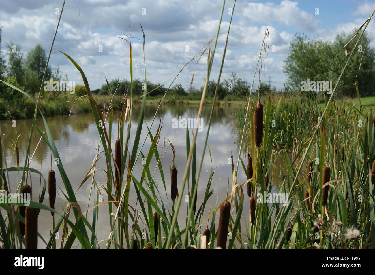 Coarse fishing uk hi-res stock photography and images - Alamy