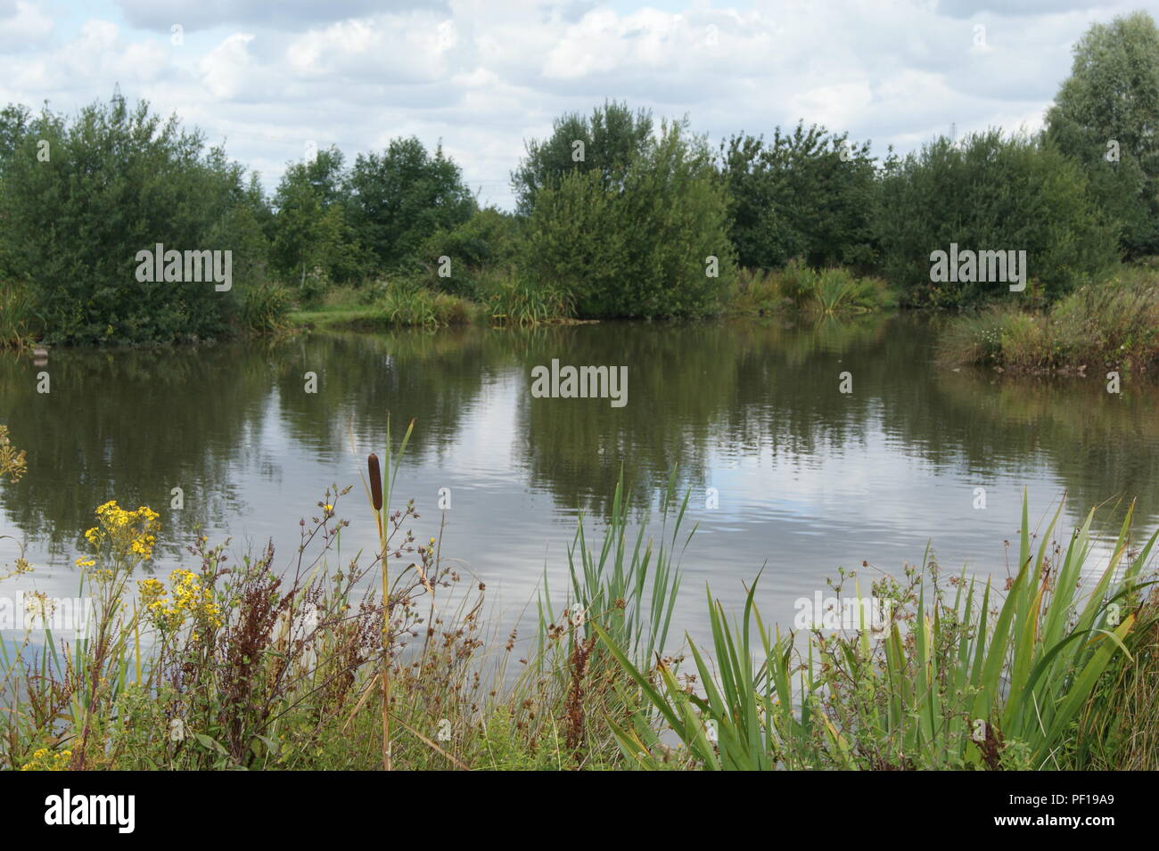 Coarse fishing uk hi-res stock photography and images - Alamy