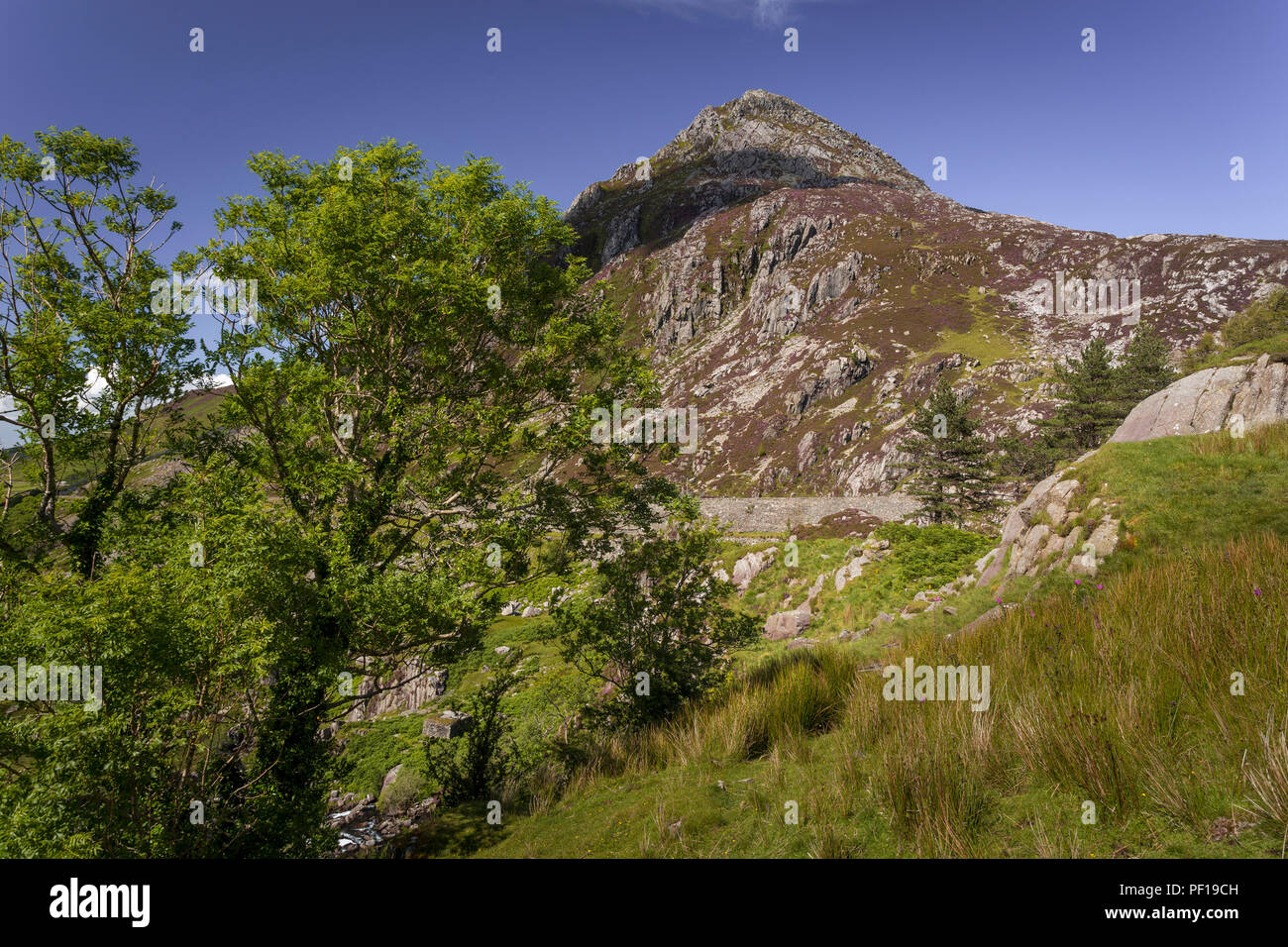 Pen Yr Ole Wen mountain in the Carneddau range, Snowdonia, North Wales ...