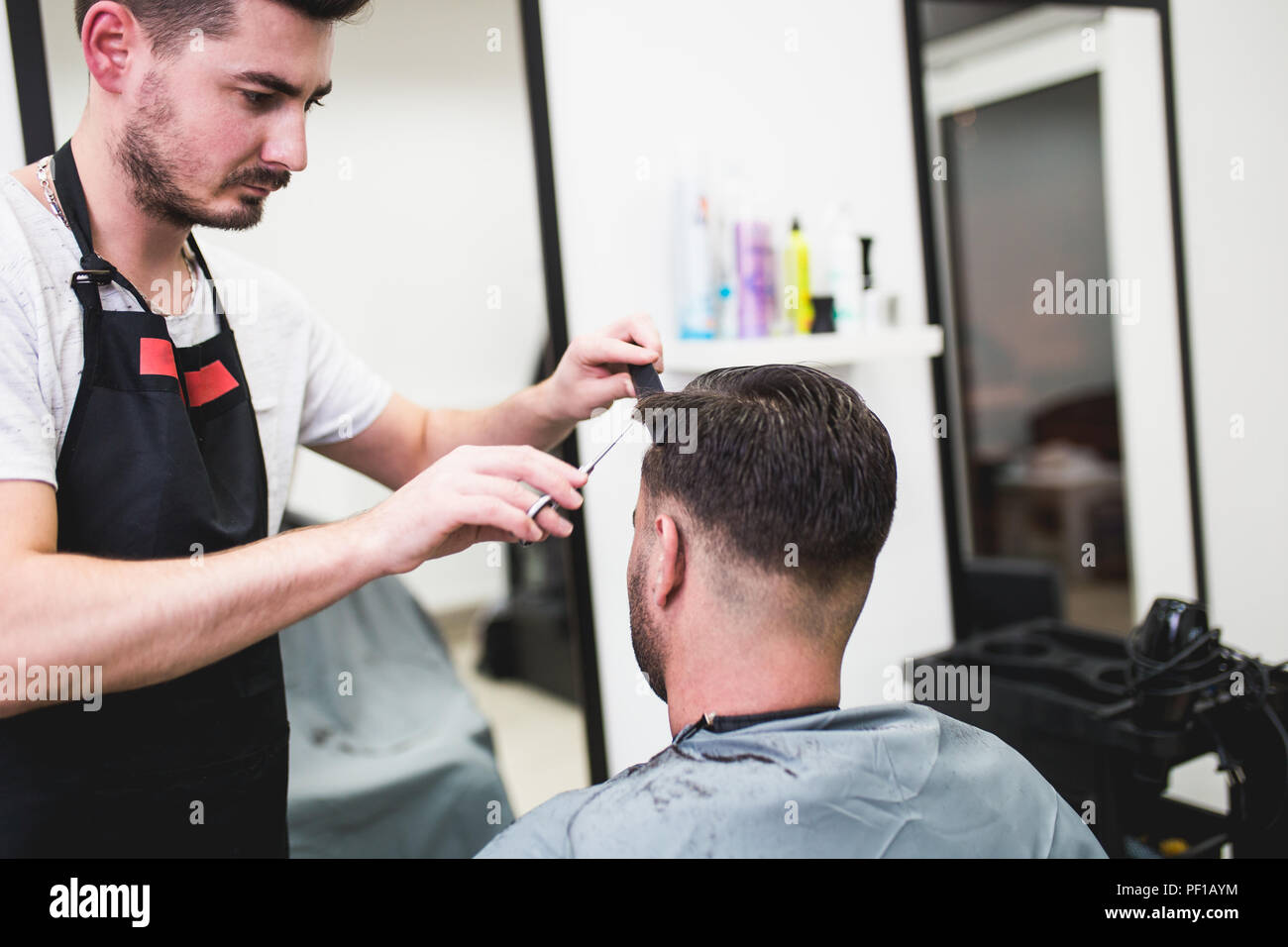 Male client getting professional haircut hi-res stock photography and ...