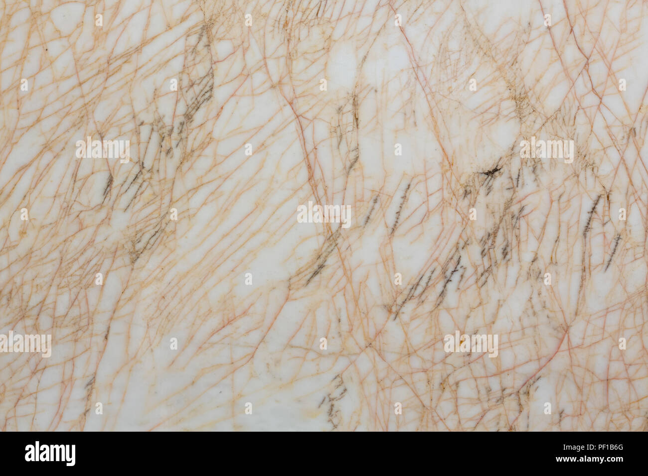 Impressively light marble texture for your interior. High resolution ...