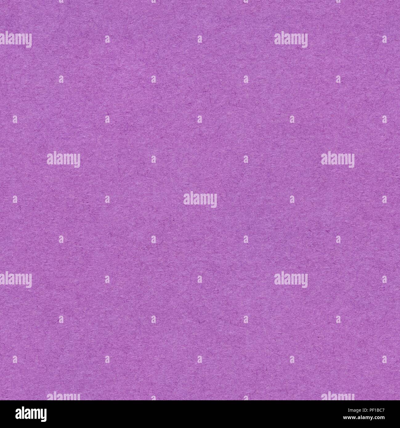 Paper purple background. Seamless square texture, tile ready. High ...