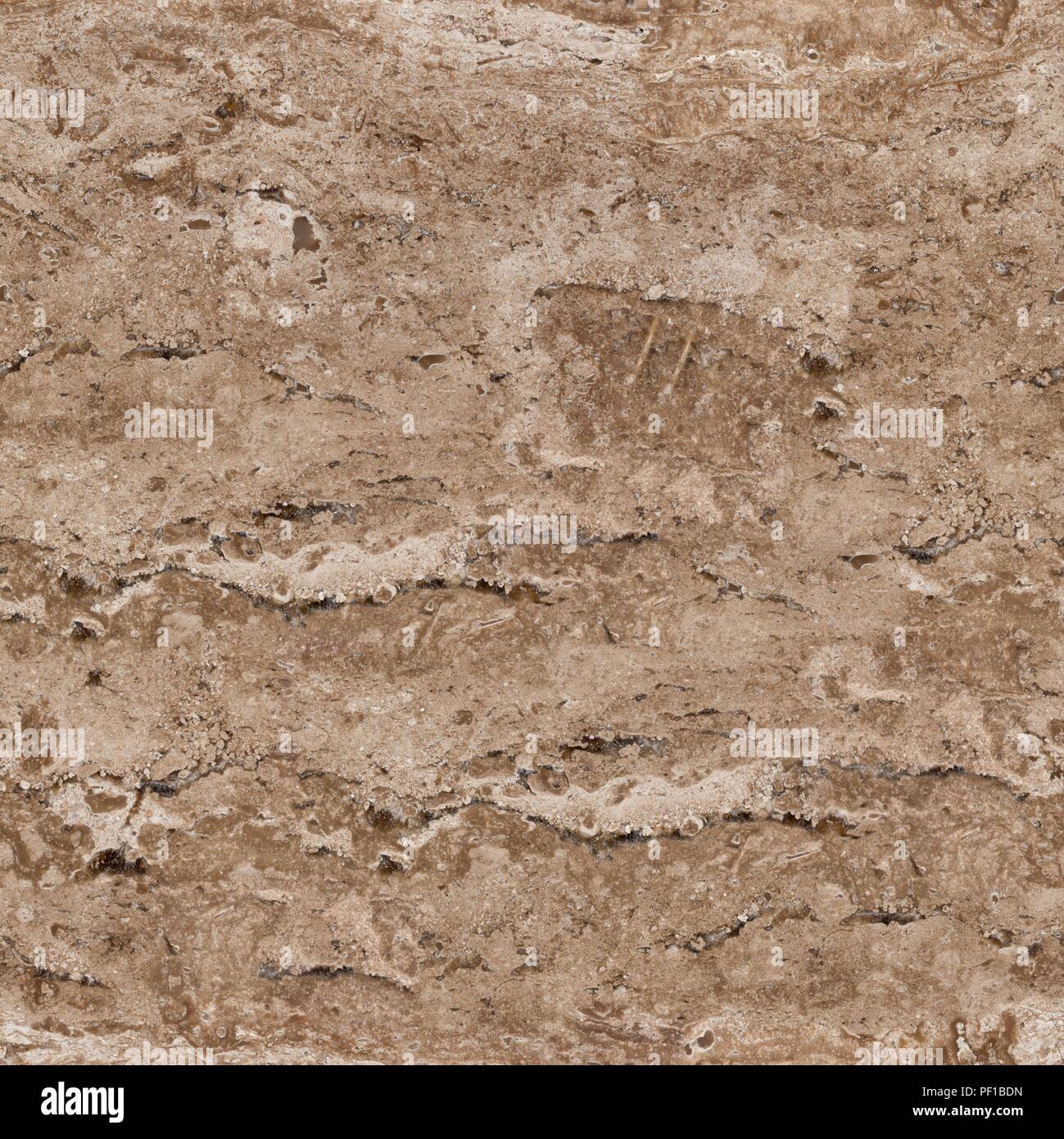 Travertine classic warm beige color with a pronounced banding and ...