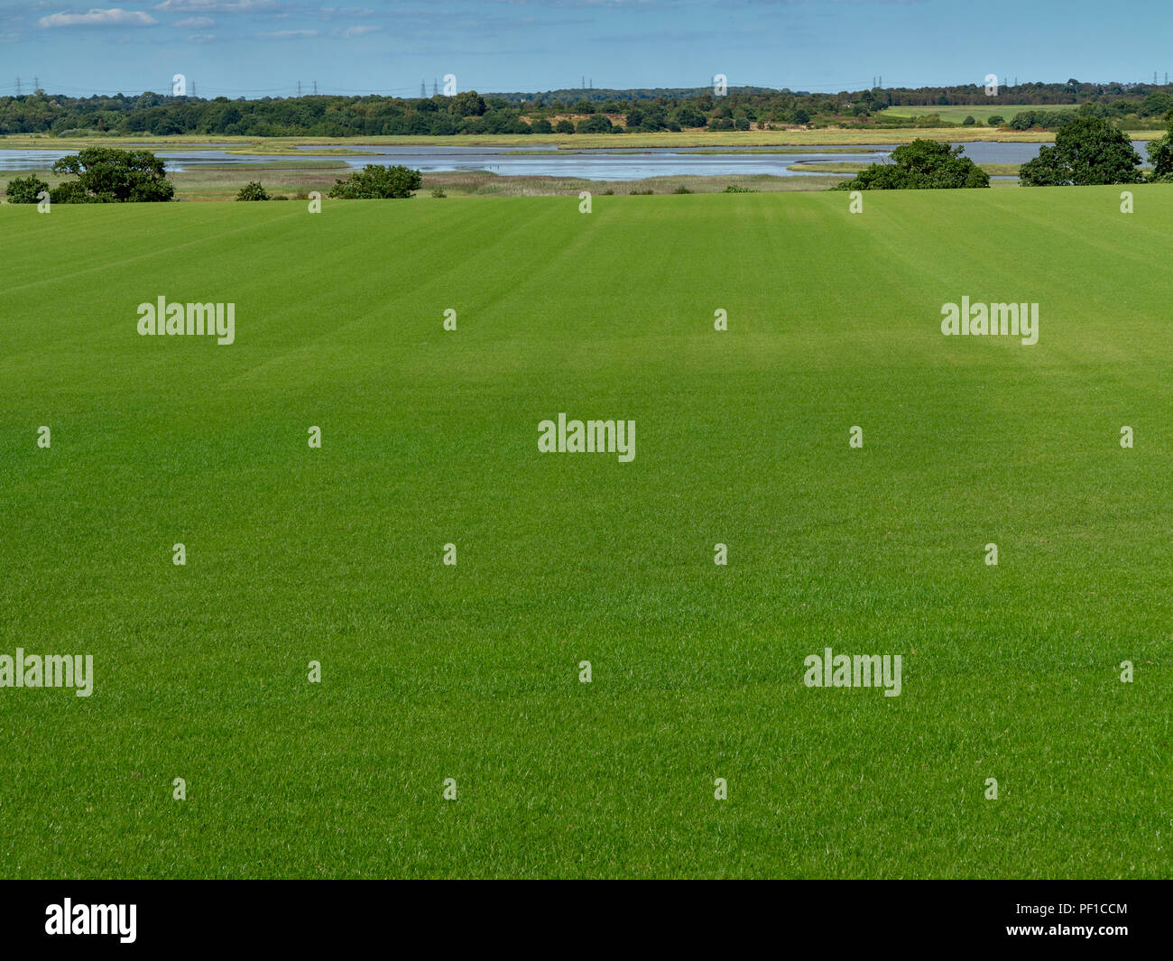 Large area of turf field with river estuary in the far distance Stock ...