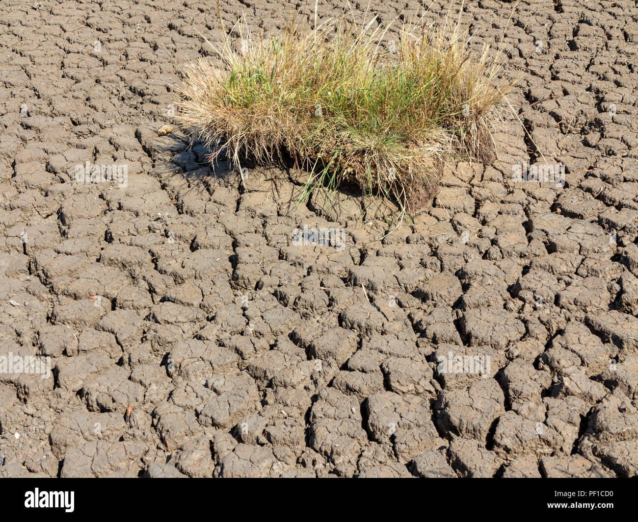 Dried peat soil hi-res stock photography and images - Alamy