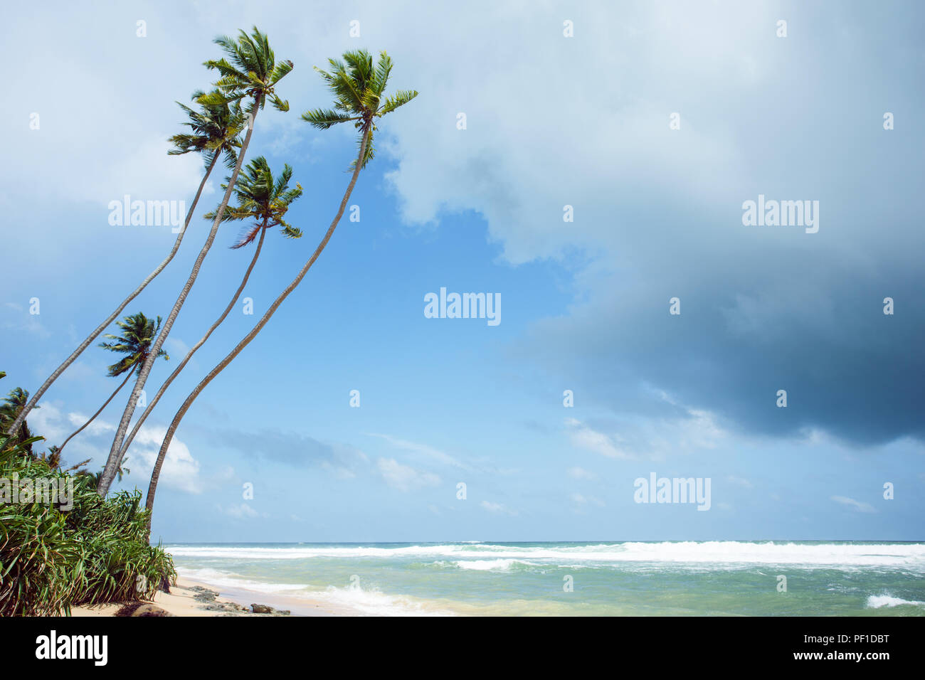 Untouched tropical beach of Sri Lanka. Akurala beach Stock Photo - Alamy