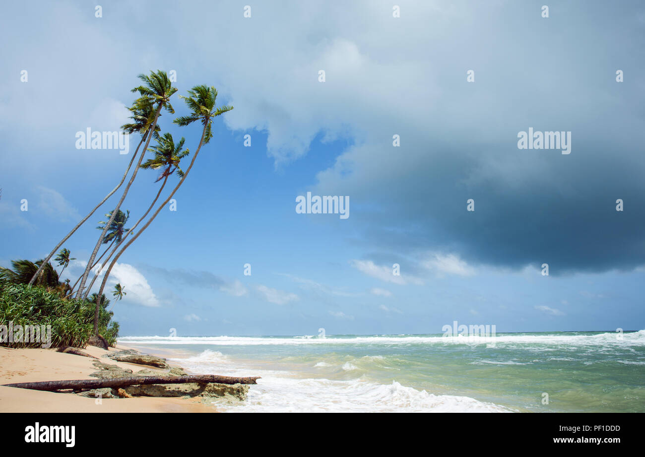 Untouched tropical beach of Sri Lanka. Akurala beach Stock Photo - Alamy
