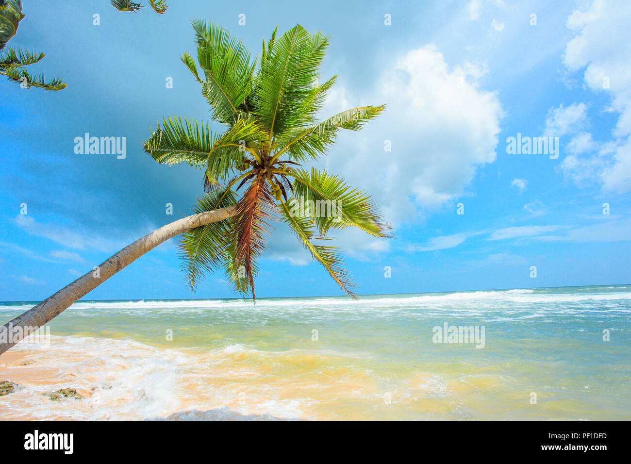 Untouched tropical beach of Sri Lanka. Akurala beach Stock Photo - Alamy