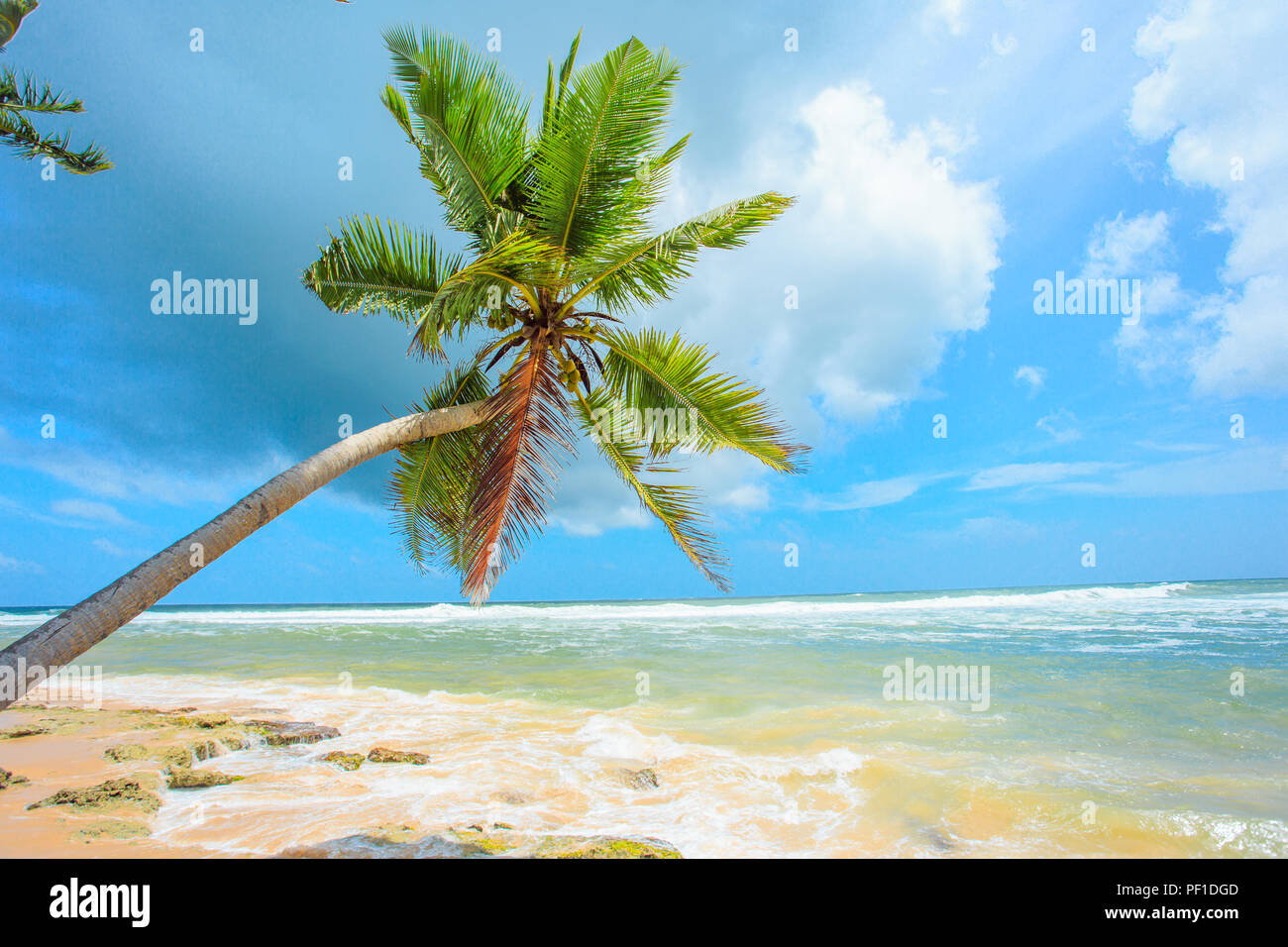 Untouched tropical beach of Sri Lanka. Akurala beach Stock Photo - Alamy