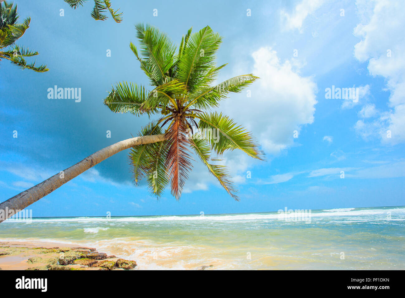 Untouched tropical beach of Sri Lanka. Akurala beach Stock Photo - Alamy