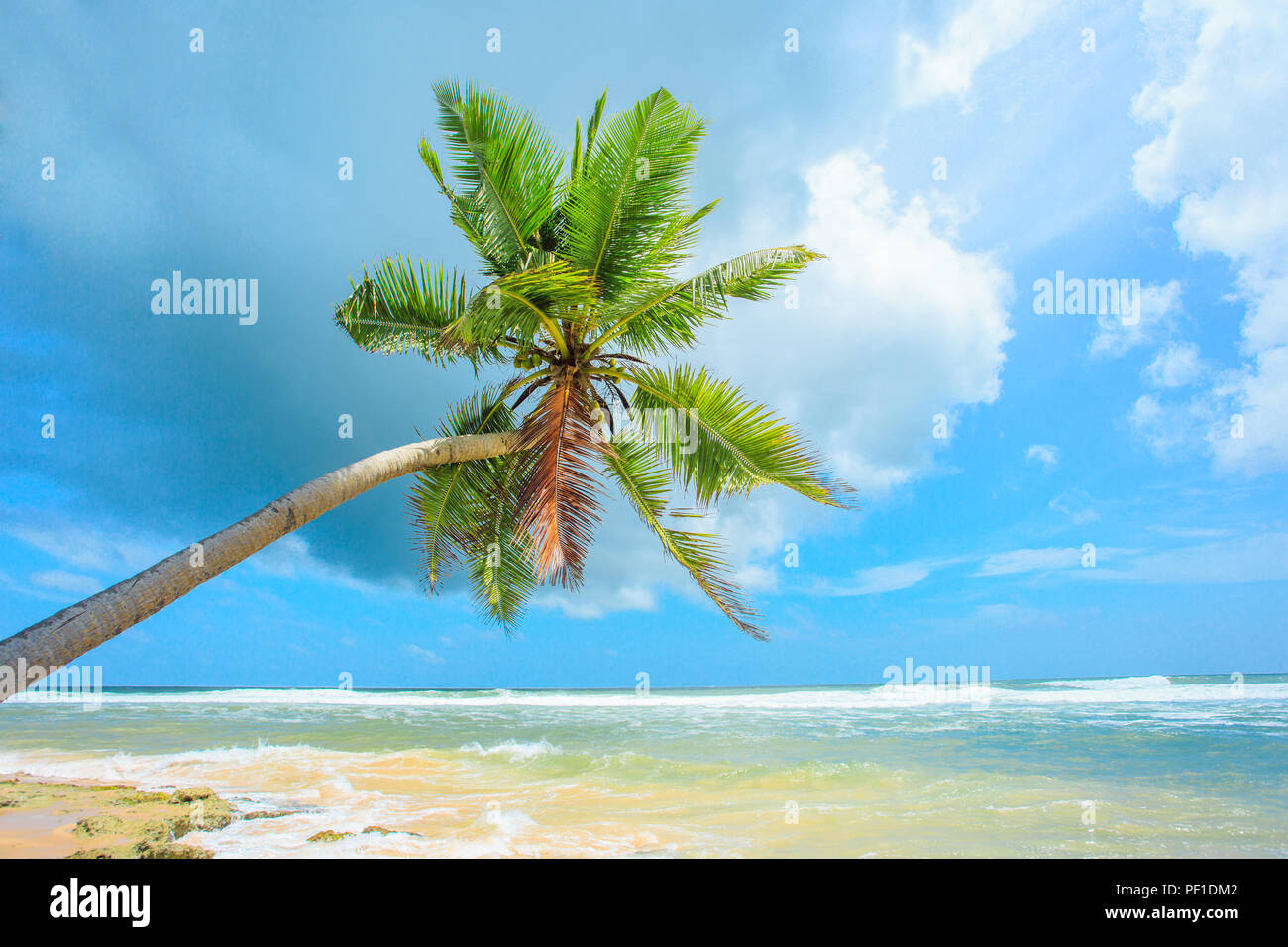 Untouched tropical beach of Sri Lanka. Akurala beach Stock Photo - Alamy