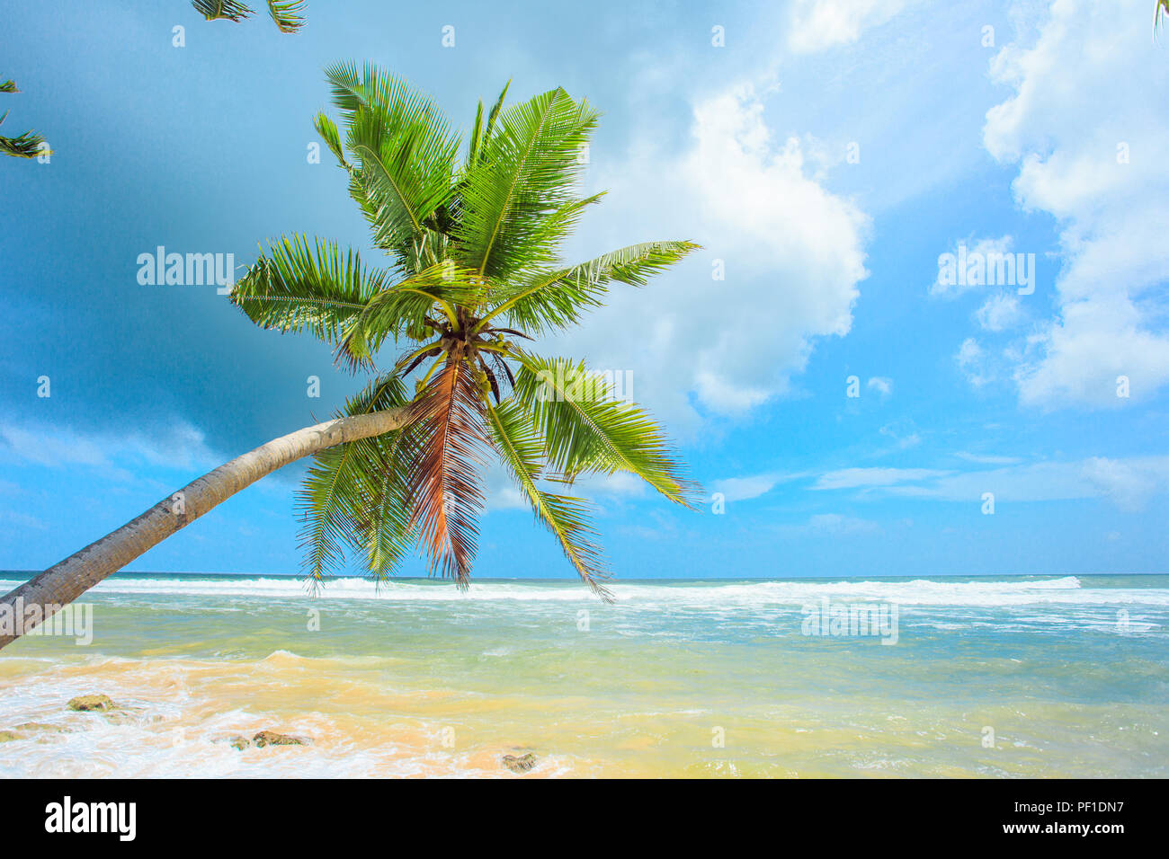 Untouched tropical beach of Sri Lanka. Akurala beach Stock Photo - Alamy