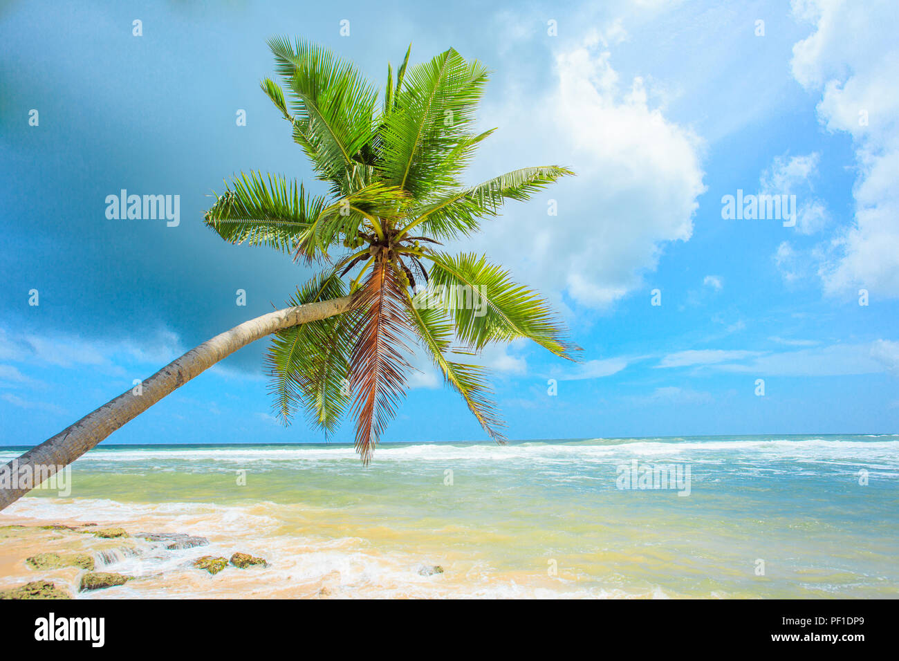 Untouched tropical beach of Sri Lanka. Akurala beach Stock Photo - Alamy