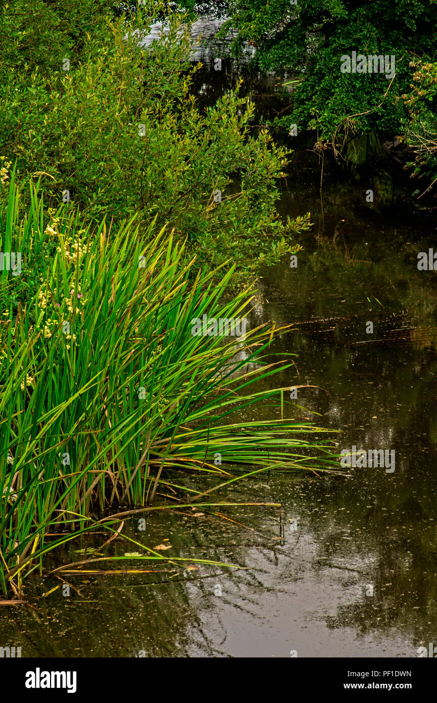 Bodffordd hi-res stock photography and images - Alamy