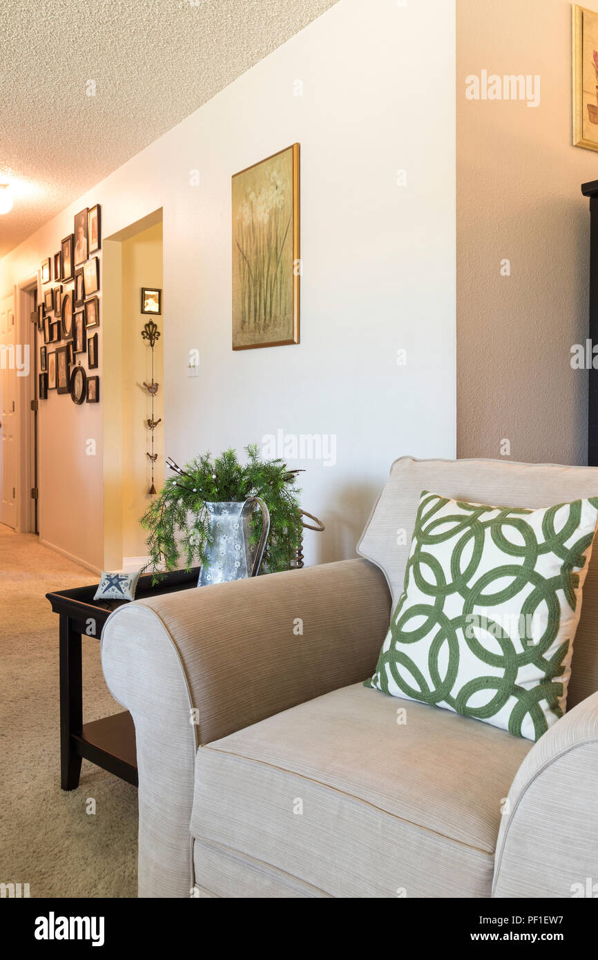 Luxury Residential Home Interior, USA Stock Photo - Alamy