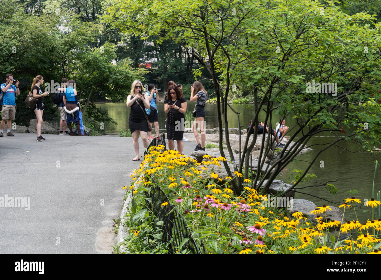 Us summertime hi-res stock photography and images - Alamy