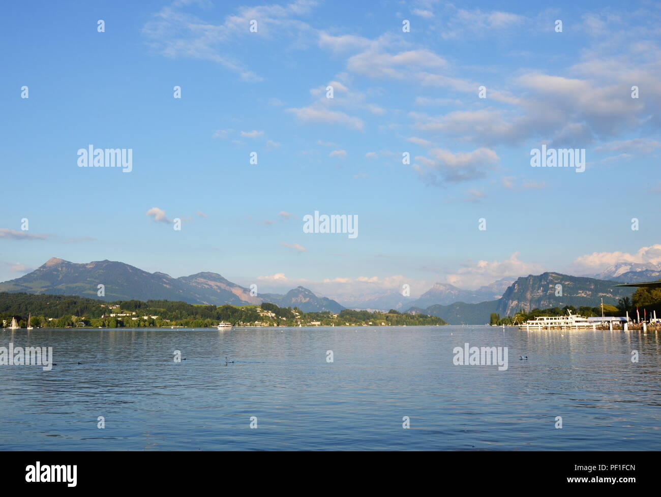lake lucerne landscape in Switzerland Stock Photo - Alamy