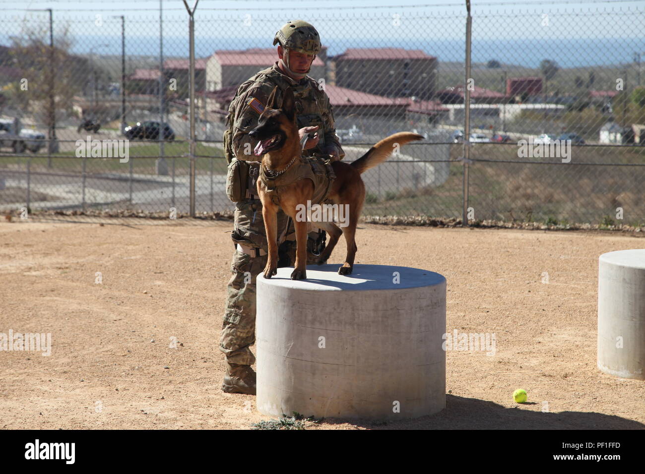 A U.S. Army Soldier navigates an obstacle course with a MARSOC canine ...