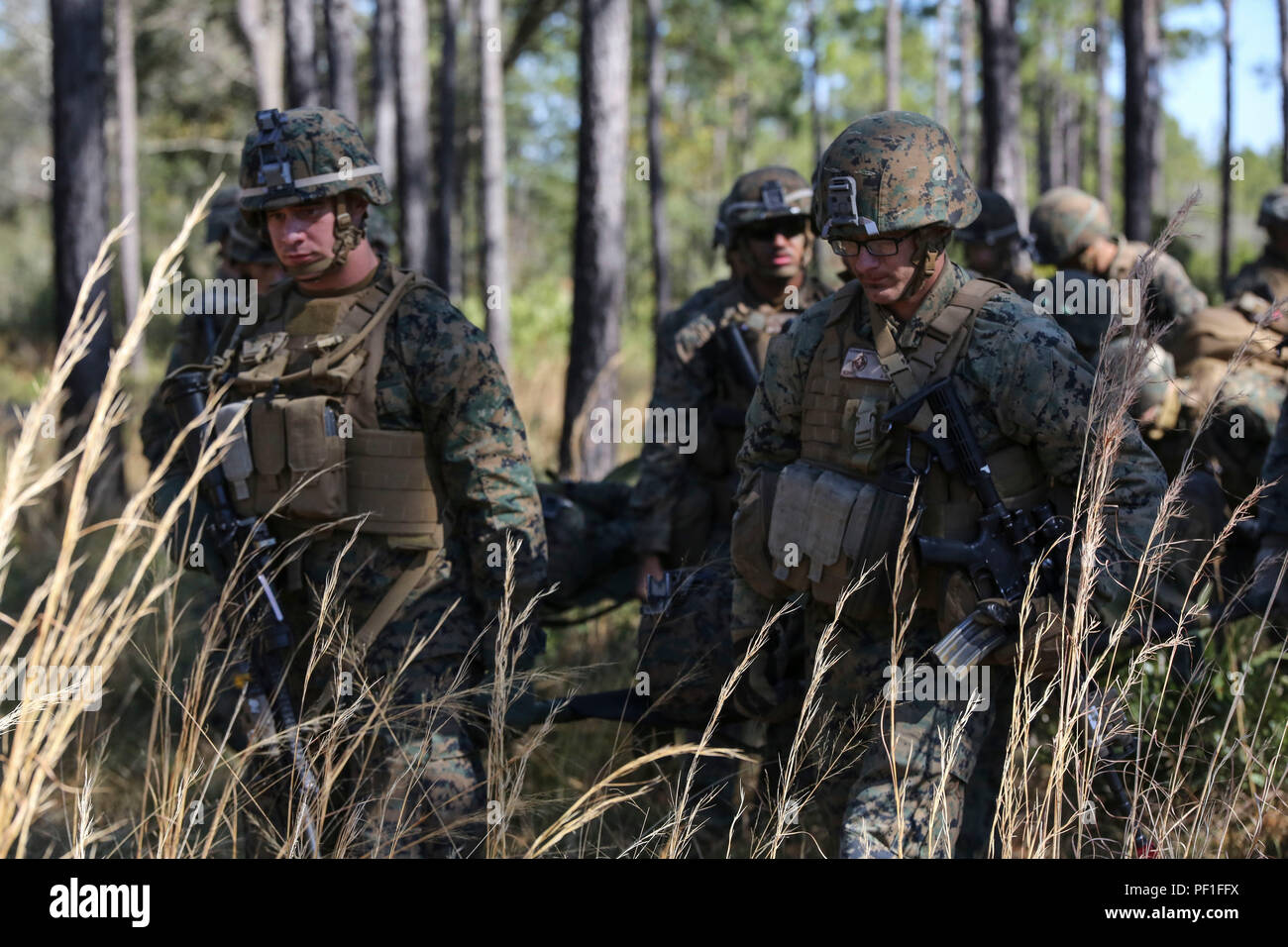 Marines with India Company, 3rd Battalion, 6th Marine Regiment, conduct a simulated casualty ...