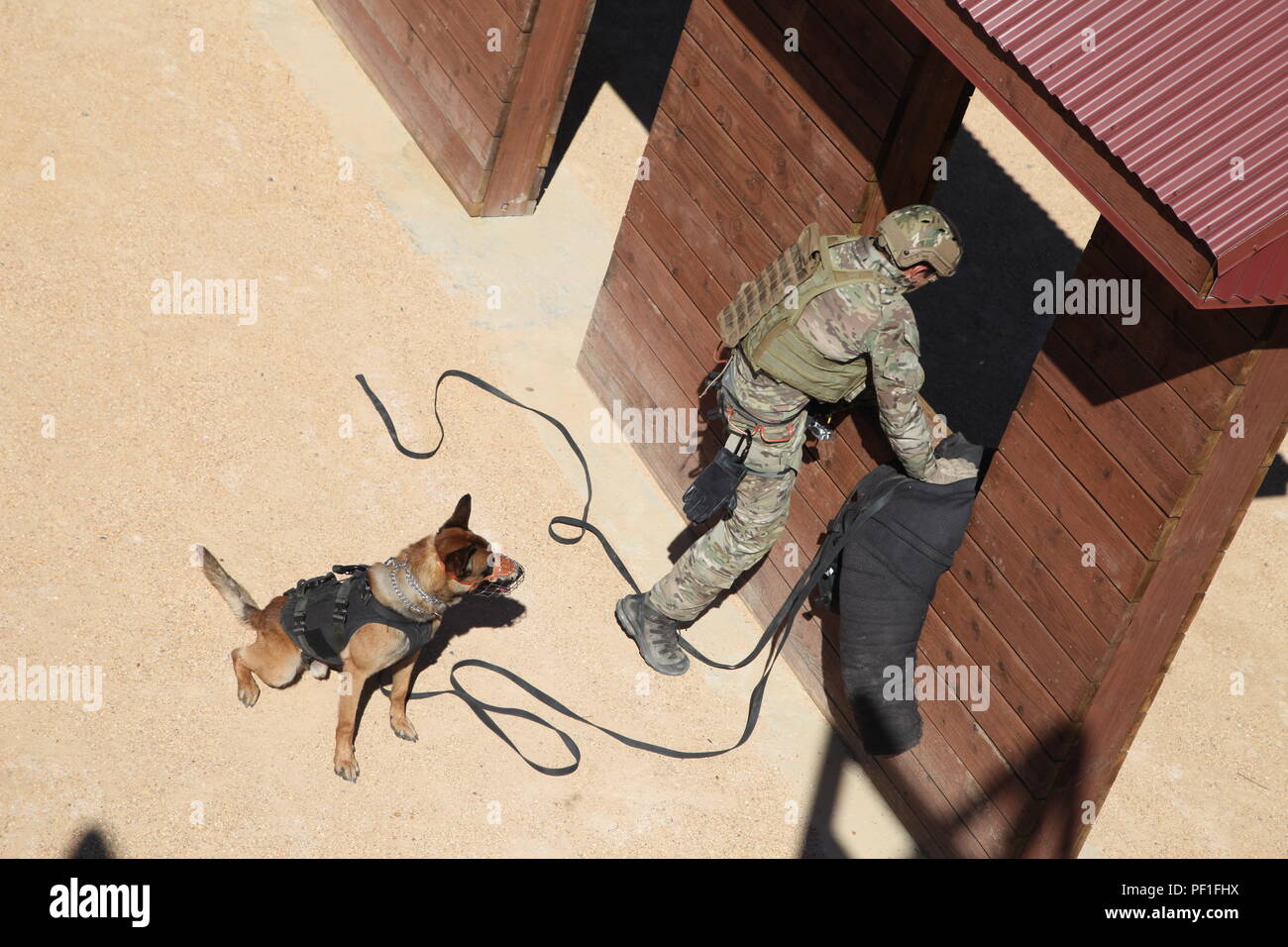 A U.S. Army Soldier participates in an obstacle course with a Marine ...
