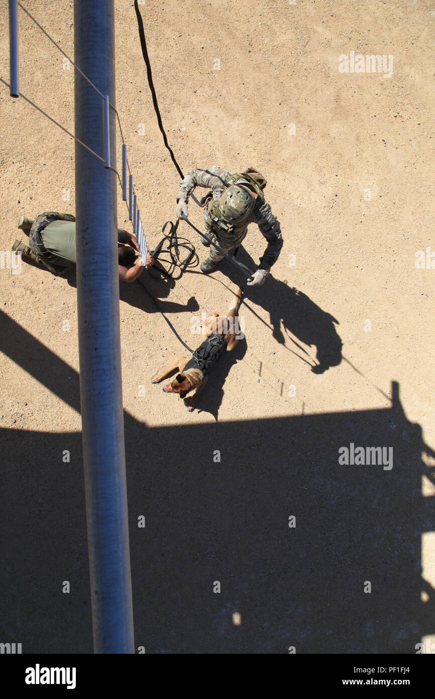 Multi purpose ladder hi-res stock photography and images - Alamy