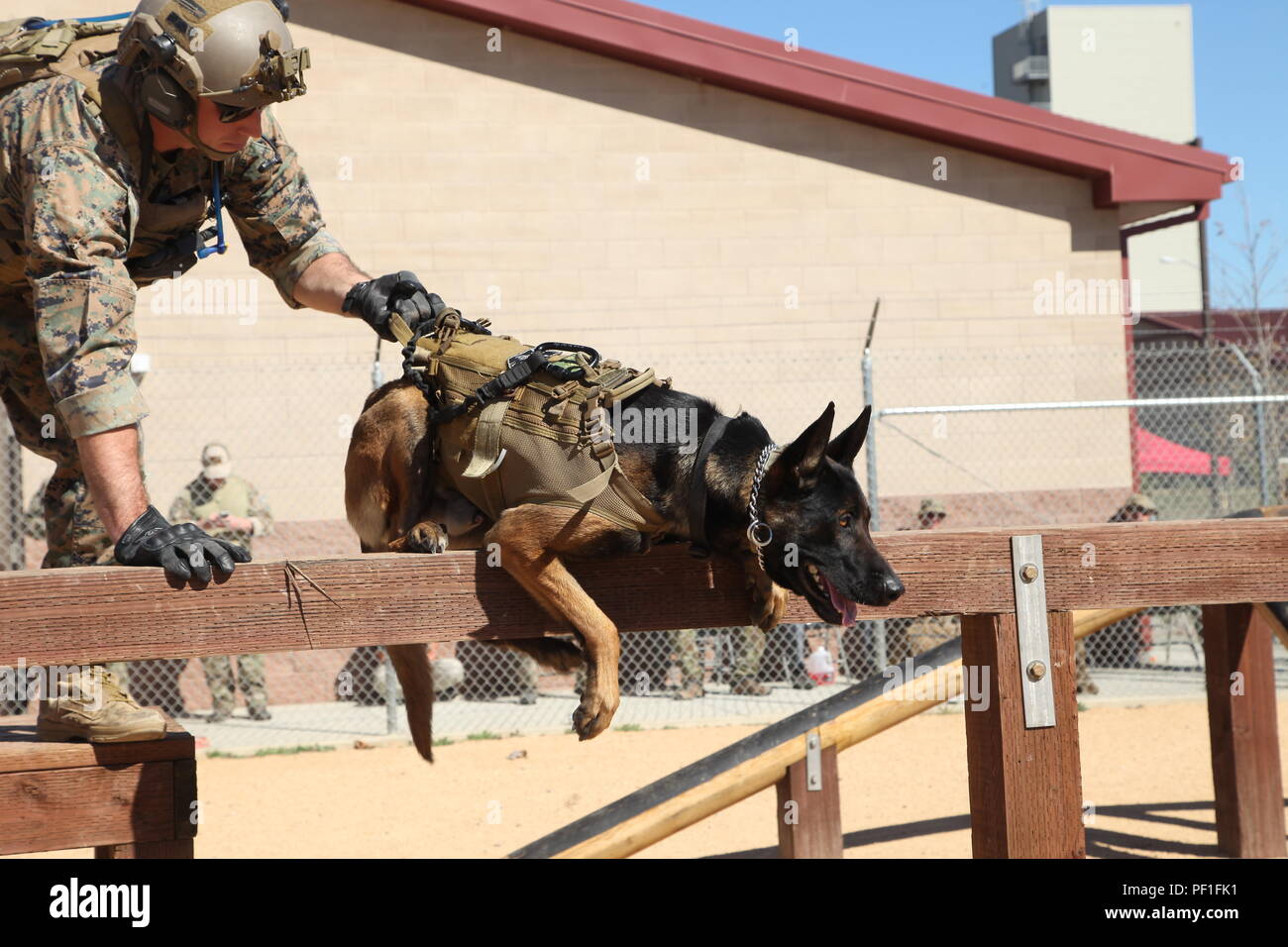A U.S. Marine with Marine Corps Forces Special Operations Command ...