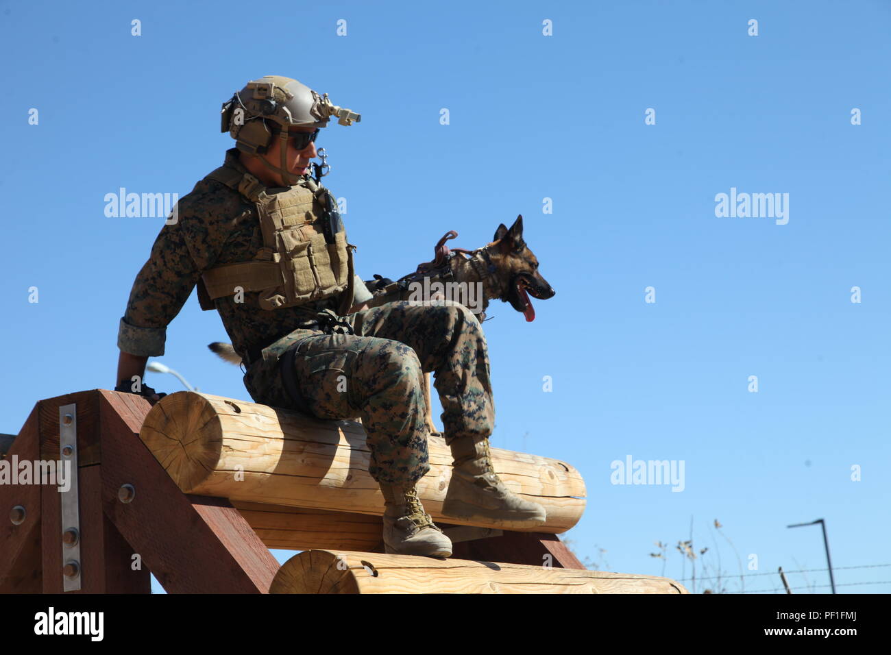 A U.S. Marine with Marine Corps Forces Special Operations Command ...