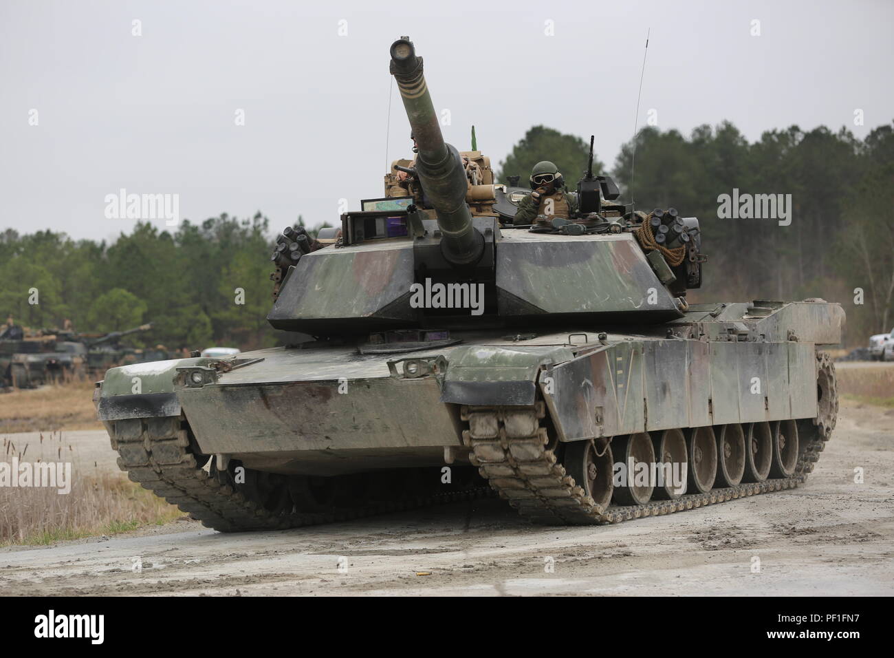 Marines with 2nd Tank Battalion, 2nd Marine Division, conducted a live ...