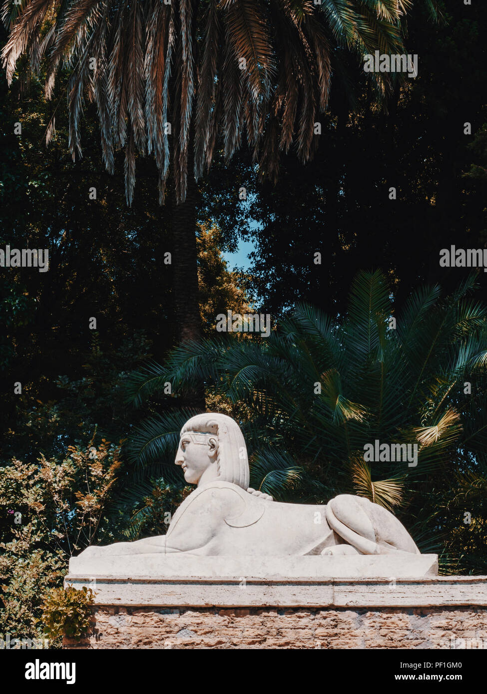 Sphinx at tropical palms background. Piazza del Popolo - Rome, Italy ...