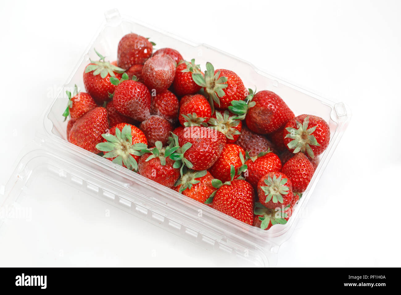 Strawberry mold fungus Cut Out Stock Images & Pictures - Alamy